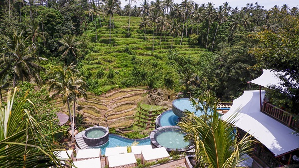 Cretya Ubud by Alas Harum Bali | Restoran Mewah di Ubud! | Fabfit